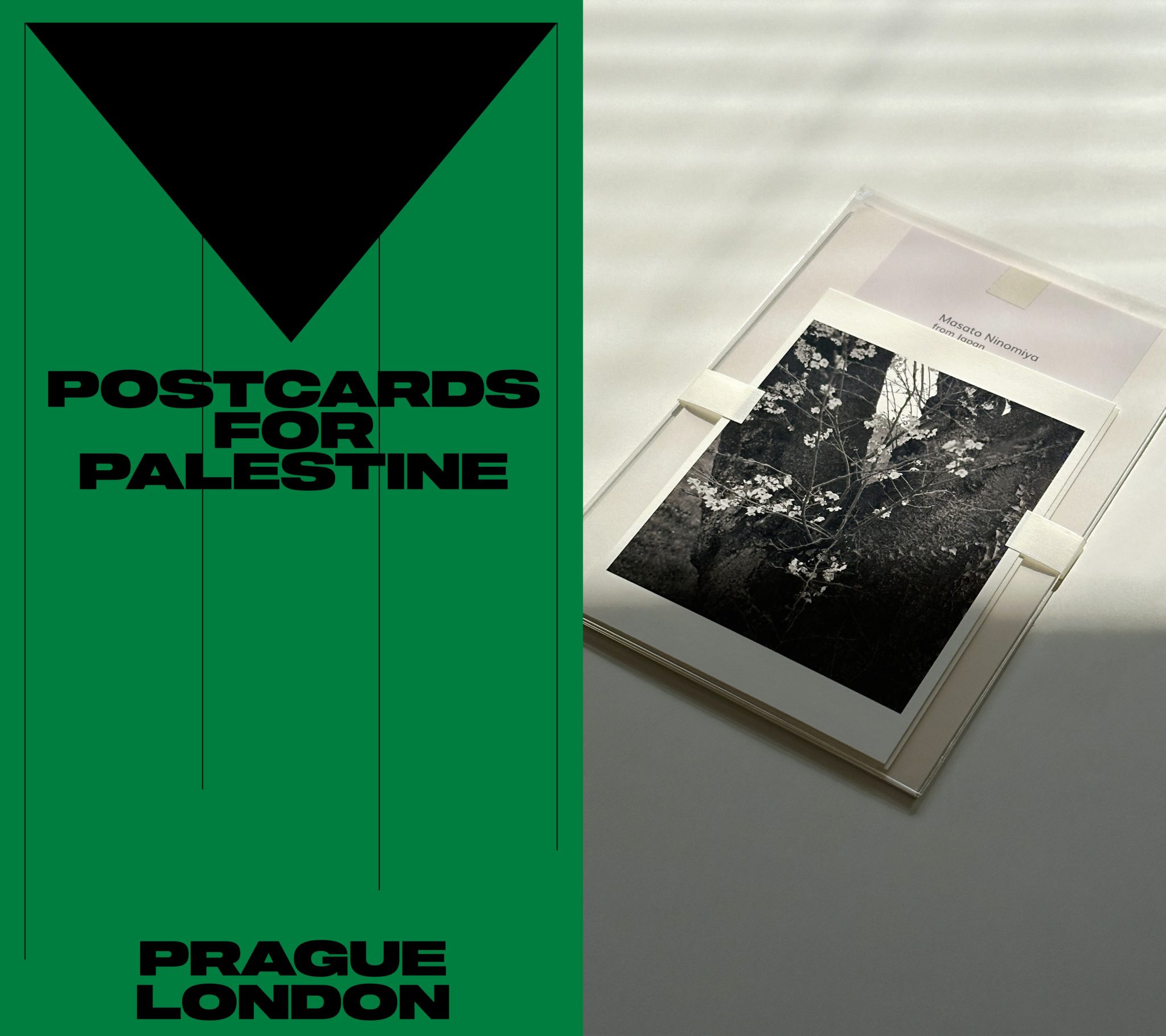 Postcards for Palestine | Still Life
