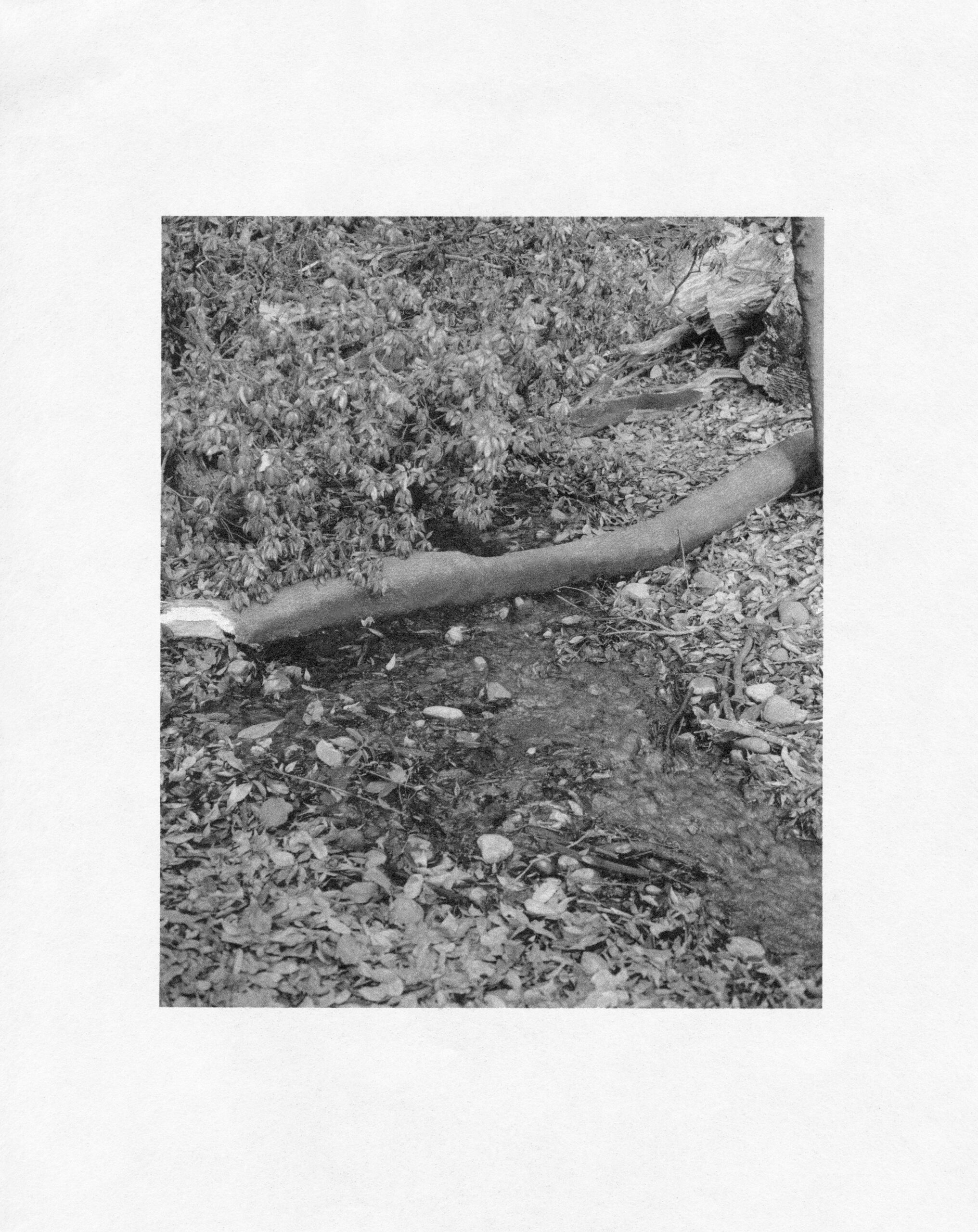 Research: Local spring water ♯02 | Still Life